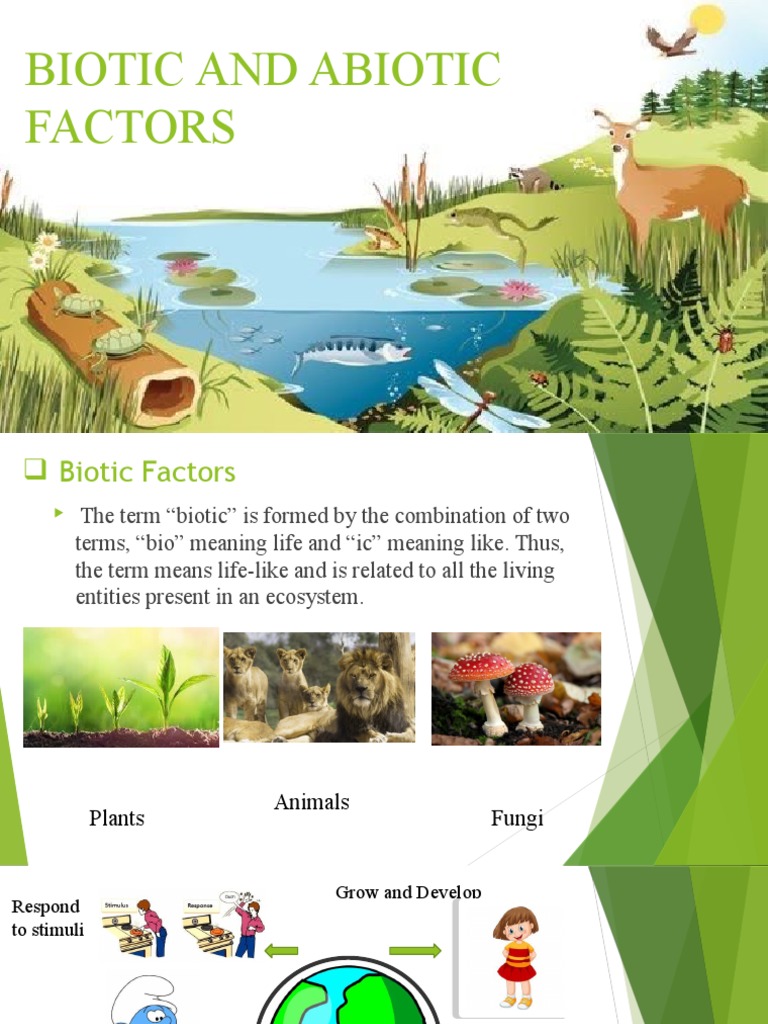 Biotic and Abiotic Factors Explained | PDF