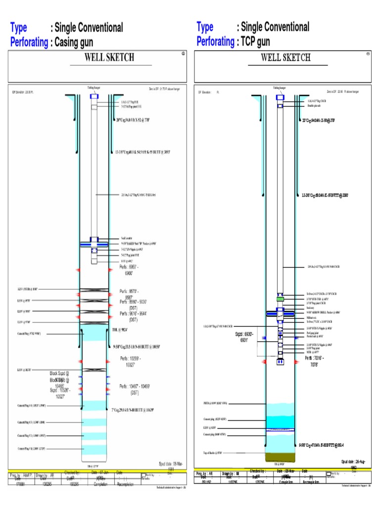 Type of Well Completion - Gas Field | PDF