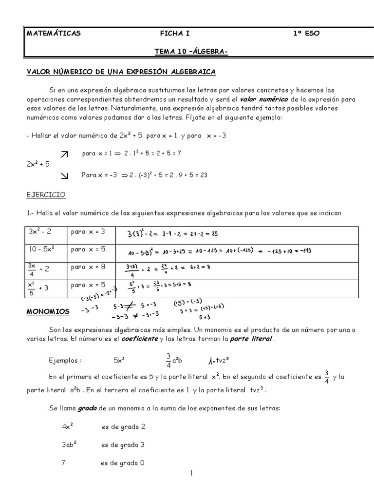 Ficha I de Lenguaje Algebraico | PDF | División (Matemáticas) | Análisis numérico