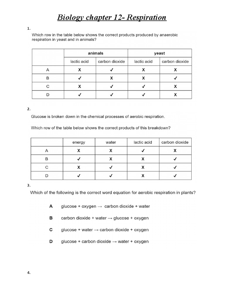 Respiration Worksheet | PDF