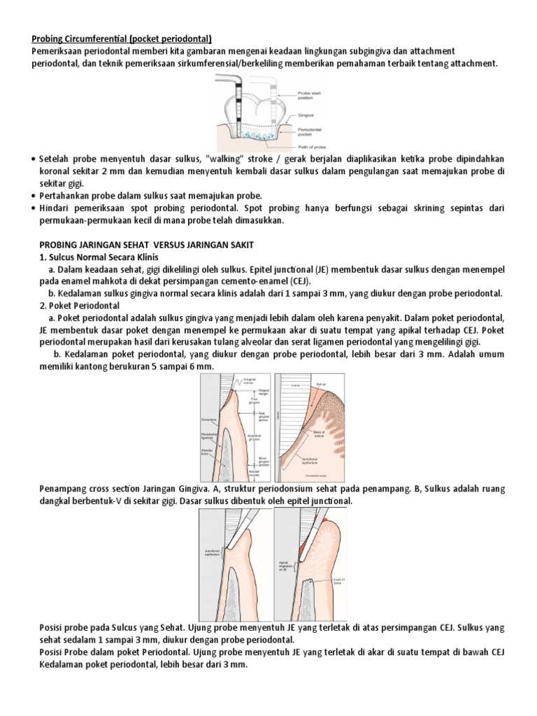 Probing Circumferential | PDF | Kesehatan Holistik | Sains & Matematika