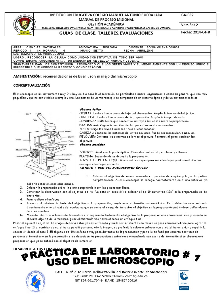 Uso y Manejo del Microscopio en Biología | PDF | Óptica | Ojo
