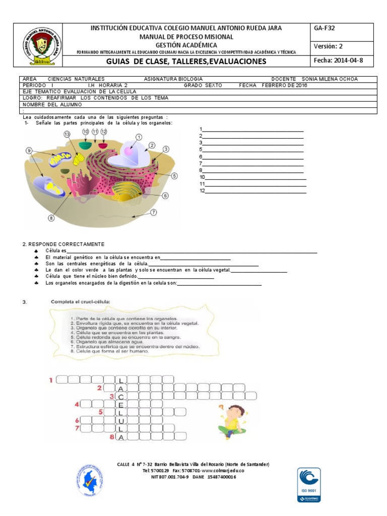 Evaluación de la Célula para Sexto Grado | PDF | Biología Celular ...