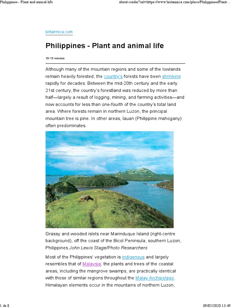 Philippine Flora and Fauna Overview | PDF | Philippines | Tagalog Language