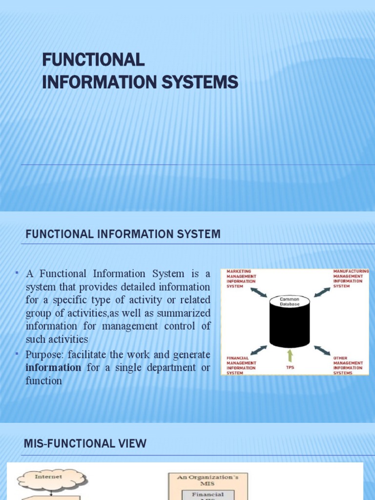 Functional Information Systems Overview | PDF | System | Information System