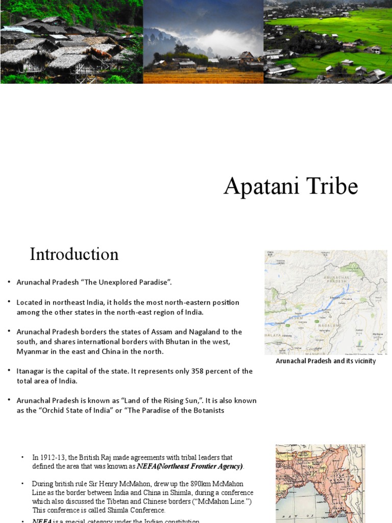 Apatani Tribe | PDF