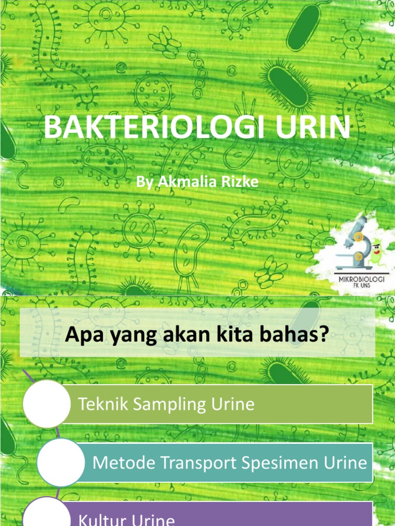 Bakteriologi Urin 2020 | PDF | Urinary Tract Infection | Urology