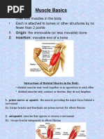 Swing and Shunt | PDF | Elbow | Muscle