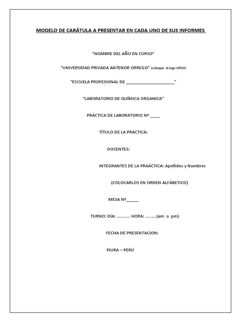 Modelo de Informe | PDF