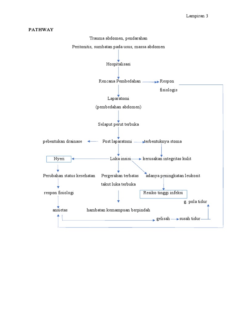 Pathway Appendictomie | PDF | Kesehatan Holistik