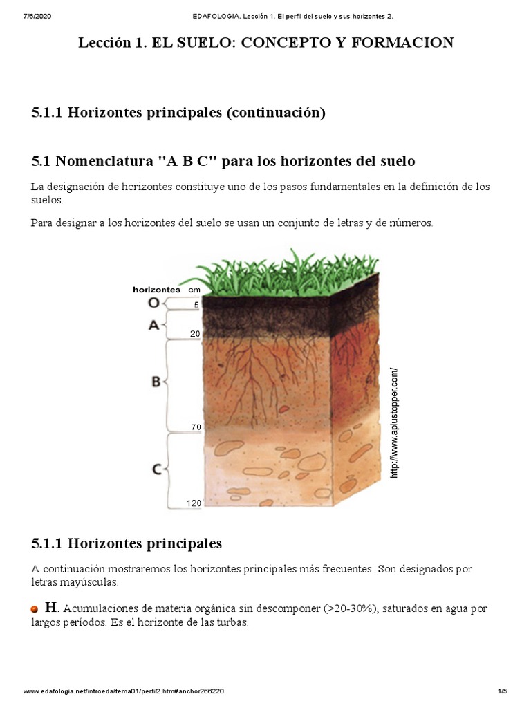 EDAFOLOGIA. Lección 1. El Perfil Del Suelo y Sus Horizontes 2 - PDF ...