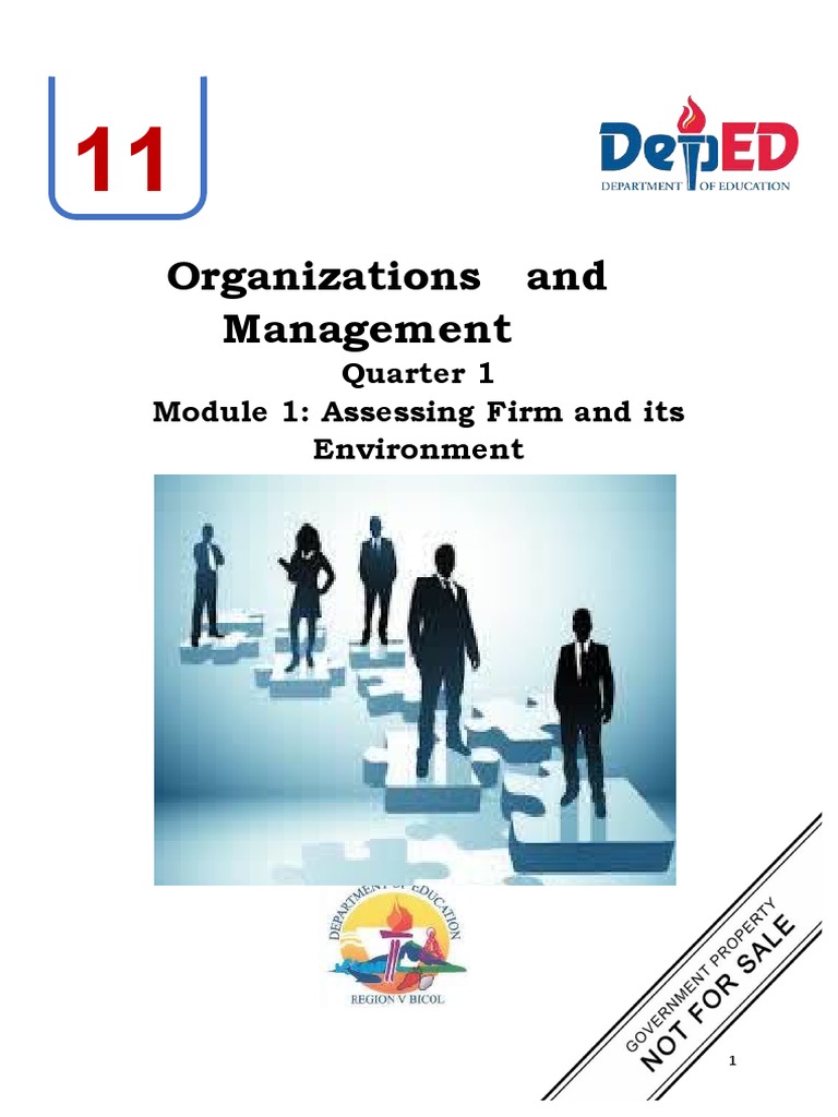 Organization and Management | PDF | Swot Analysis | Economies