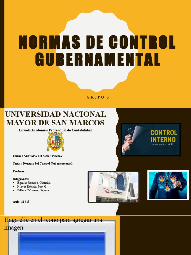 Normas De Control Gubernamental: Grupo 3 | Calidad (comercial) | Negocios