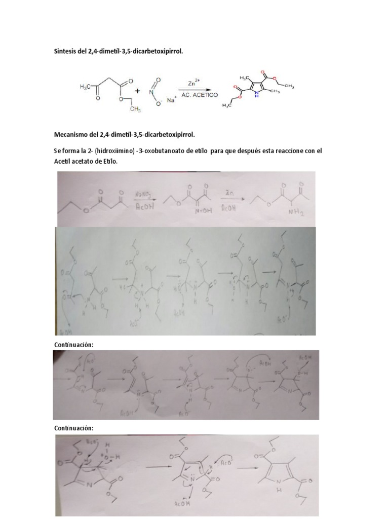 Mecanismo de Un Derivado de Pirrol | PDF