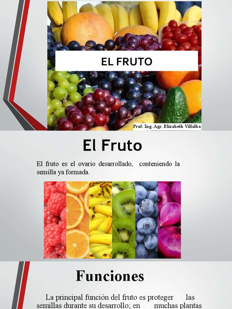 Clasificación y funciones del fruto | PDF | Fruta | Horticultura y ...