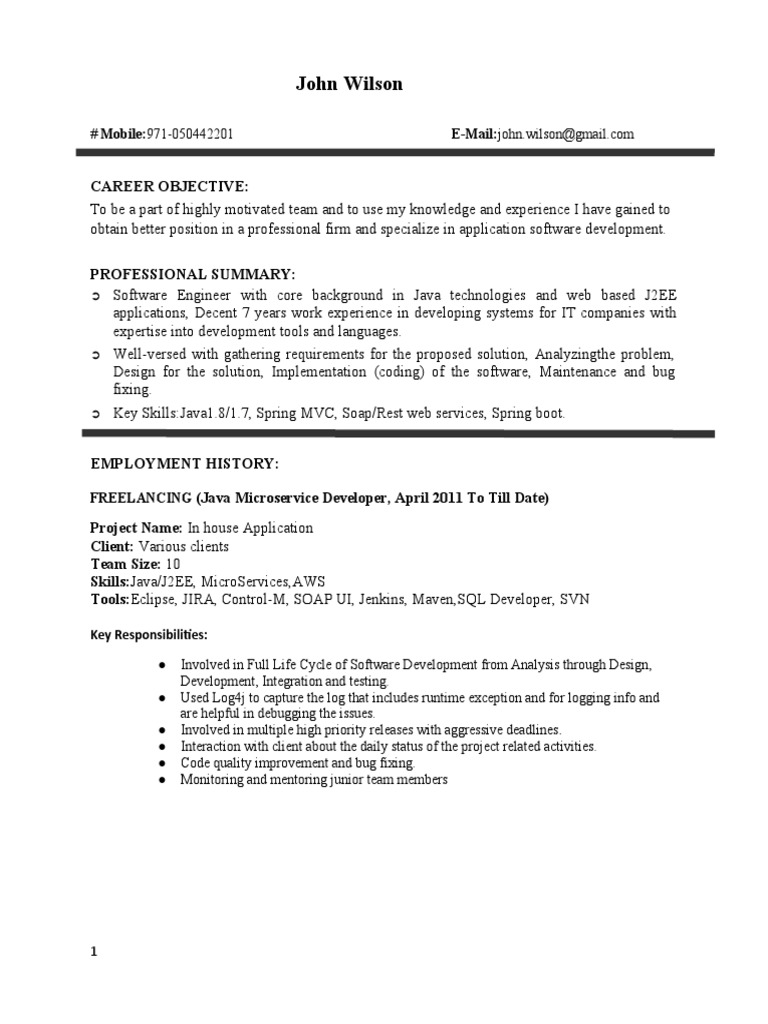Resume Template Pdf Software Bug Java Platform