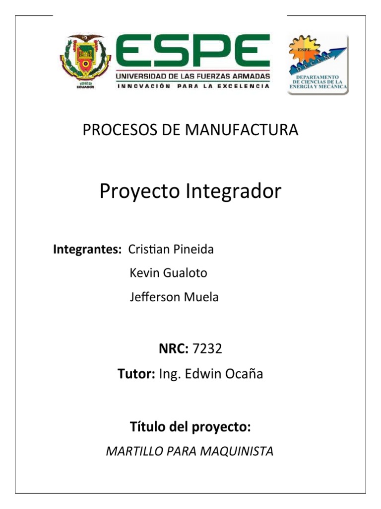 Informe Proyecto Integrador | PDF