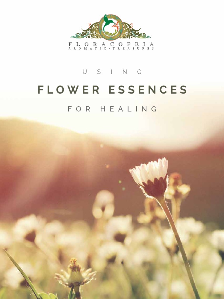 Rowan Flower Essence for Emotional Balance | PDF | Bach Flower Remedies