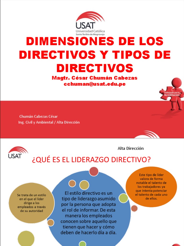 SESION 15 Dimension de Directivos y Tipos de Dirctivos | PDF