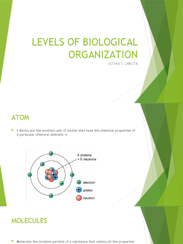 The Hierarchy of Biological Organization: From Atoms to the Biosphere ...