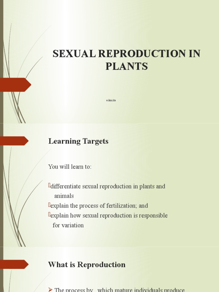 Lecture 4 Sexual Reproduction in Plants | PDF | Flowers | Anatomy