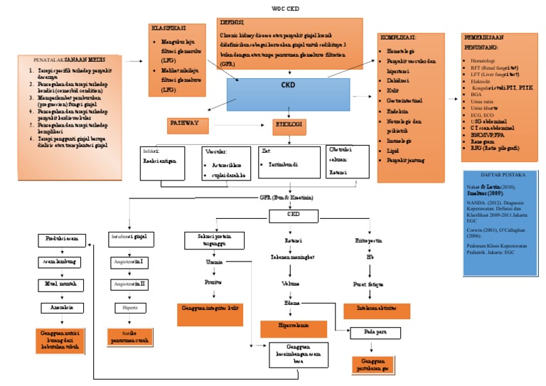 Woc Pathway CKD | PDF