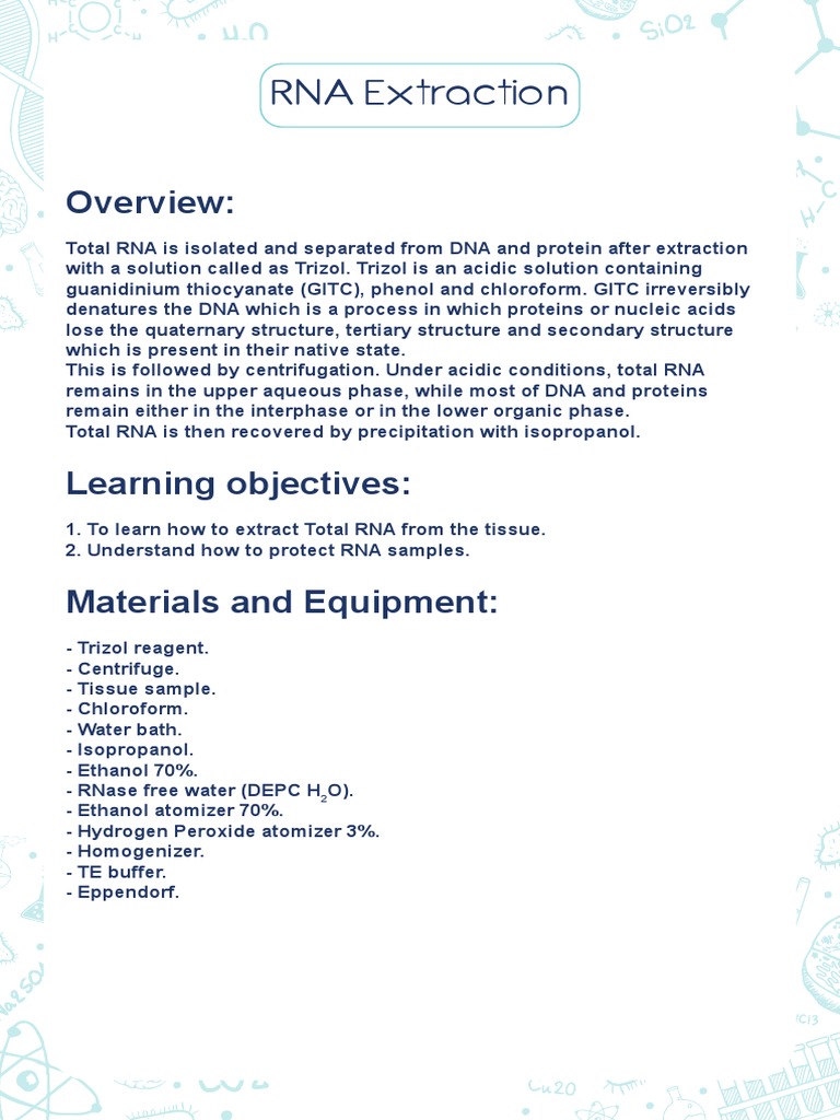 RNA Extraction: Overview | PDF | Biomolecular Structure | Precipitation ...