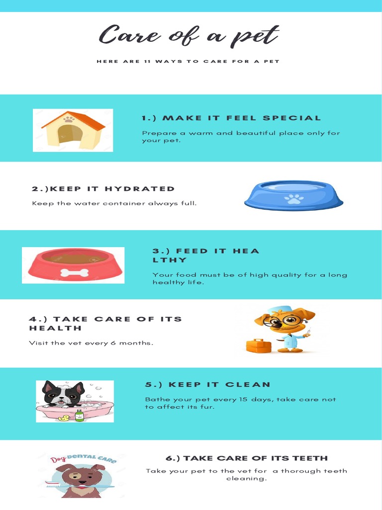 11 Essential Ways to Properly Care for Your Pet: Ensuring Their Health ...