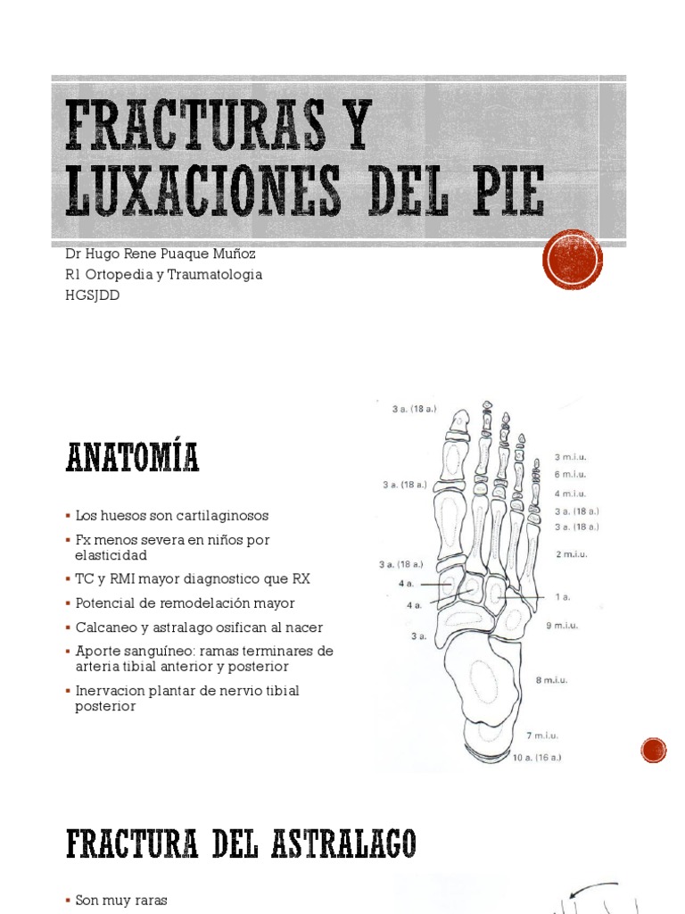 Fracturas y Luxaciones Del Pie PDF | PDF | Tobillo | Sistema ...