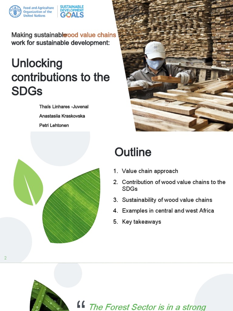 Making Sustainable Wood Value Chains Work For Sustainable Development ...