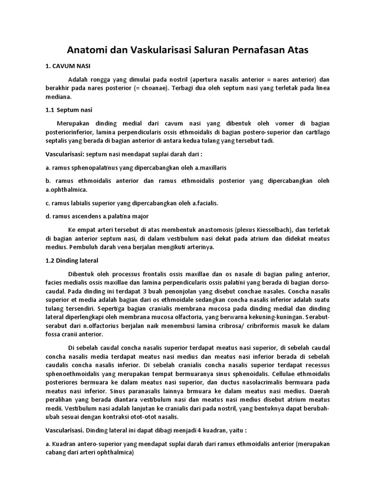 LO 1.a. Anatomi Dan Vaskularisasi Saluran Pernafasan Atas | PDF