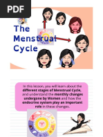 Menstrual Hygiene Essentials Pdf Menstrual Cycle Menstruation