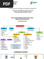 Manual MPDN (Rev 20201109) | PDF | Ilmu Sosial | Kesehatan Holistik