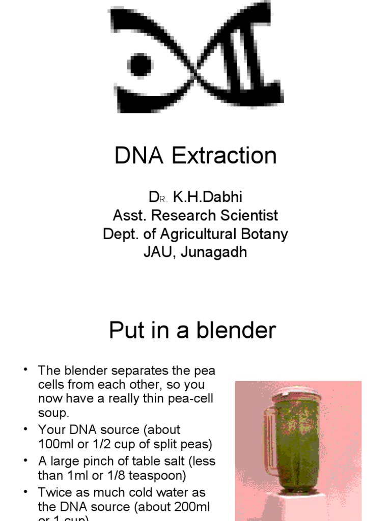 Pea DNA Extraction Guide | PDF