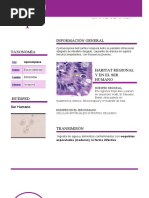 Retortamonas intestinalis: Protozoo Intestinal | PDF | Biología | Medicina