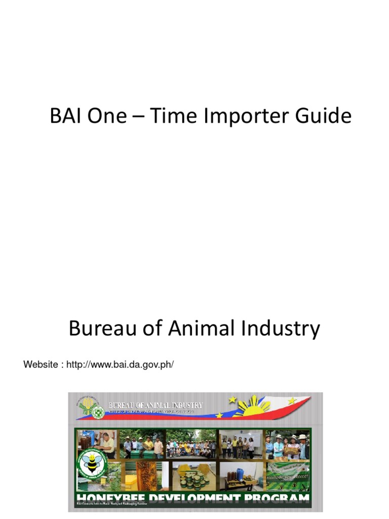 BAI One-Time Importer Guide: A Step-by-Step Process for Registering and ...