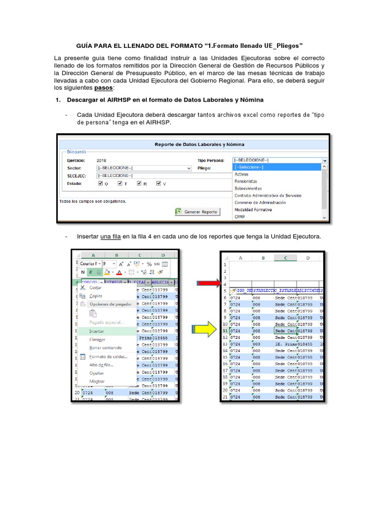 Guía para El Llenado de Formatos (Final) PDF | PDF | Archivo de ...