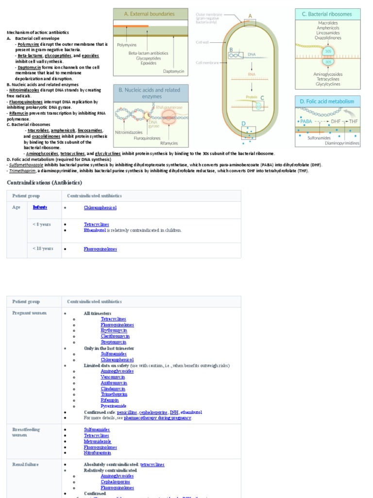 A. Bacterial Cell Envelope: Contraindications (Antibiotics) | PDF ...