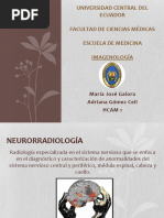 Flevomax 500mg Prospecto | PDF | Amamantamiento | El embarazo