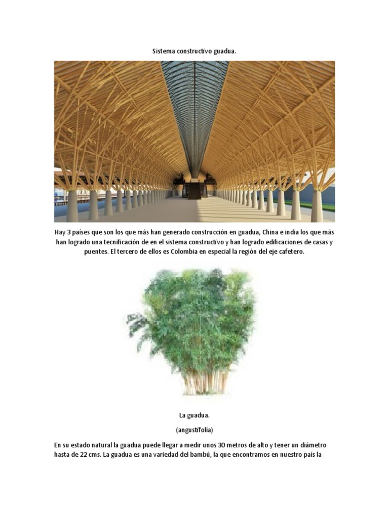 Sistema Constructivo Guadua | PDF