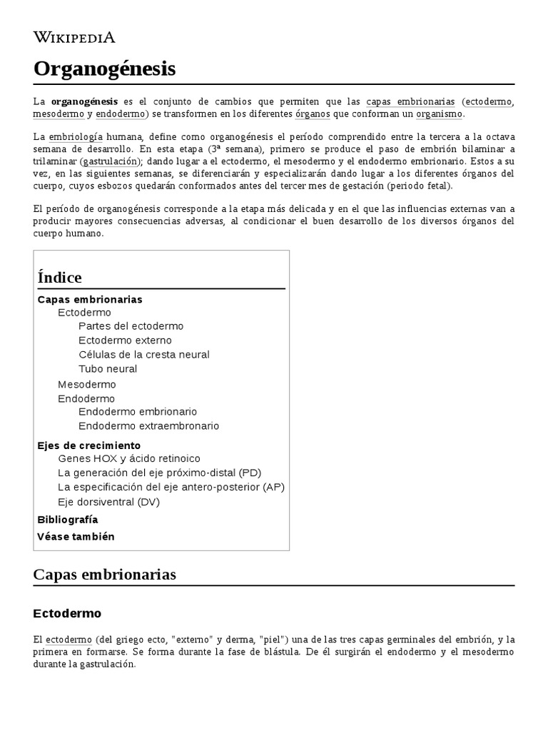 Organogénesis | PDF | Biología | Anatomia animal