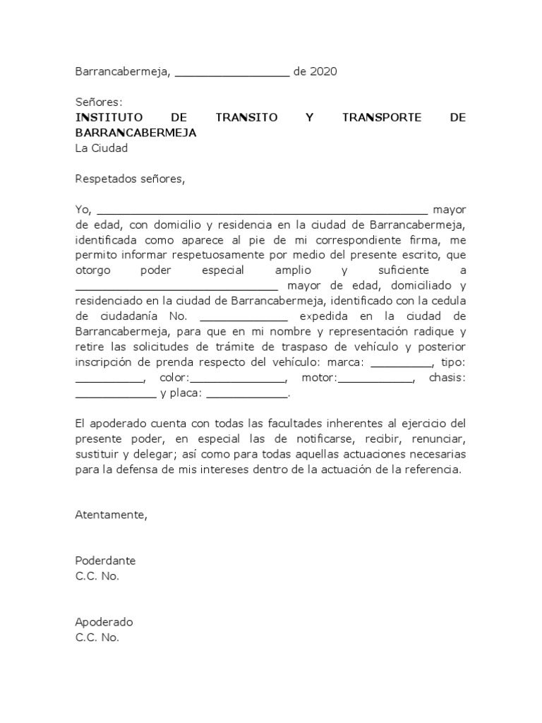 Poder Traspaso Vehiculo | PDF