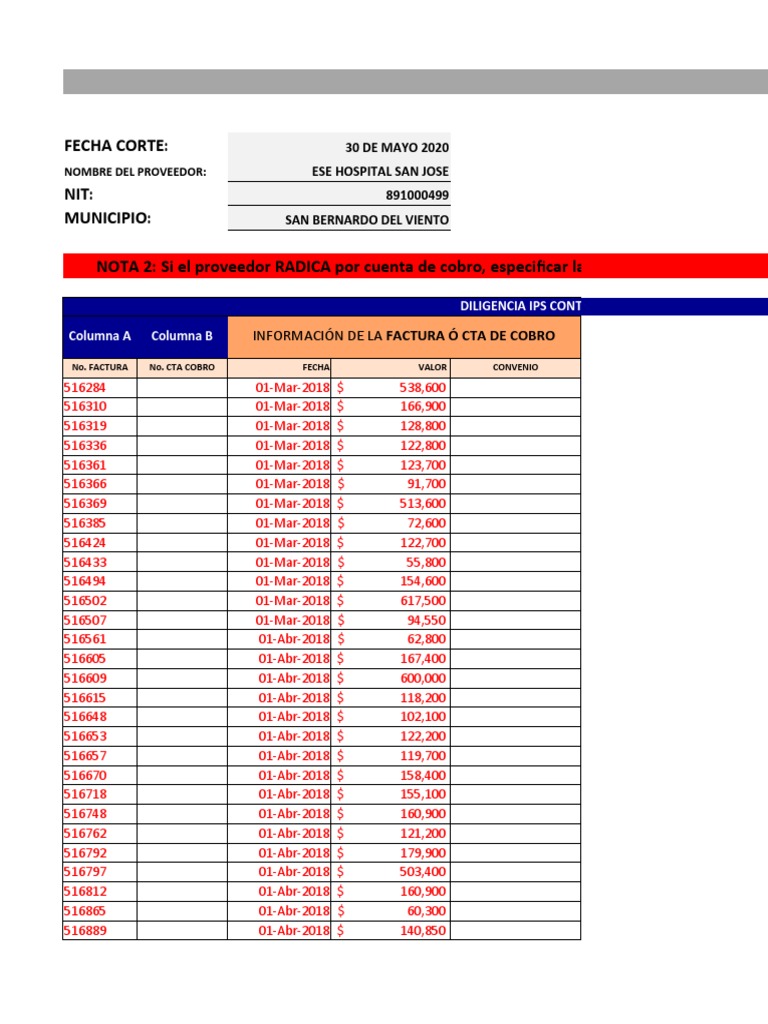 Formato Oficial para Conciliacion de Cartera | PDF