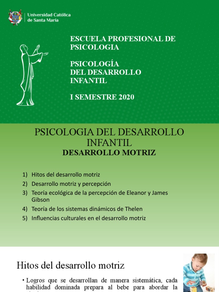 Desarrollo Motriz de 0 A 3 Años | PDF | Percepción | Aprendizaje