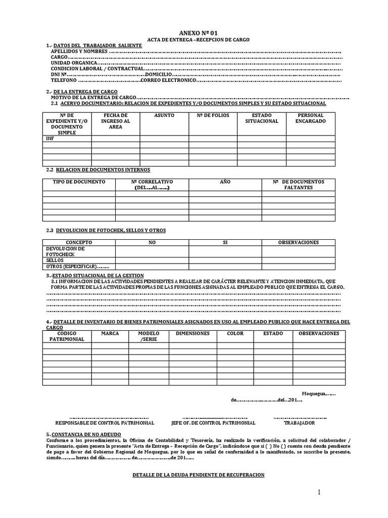 Ok Formato Entrega de Cargo 2019 - Solo Format O1 | PDF | Business