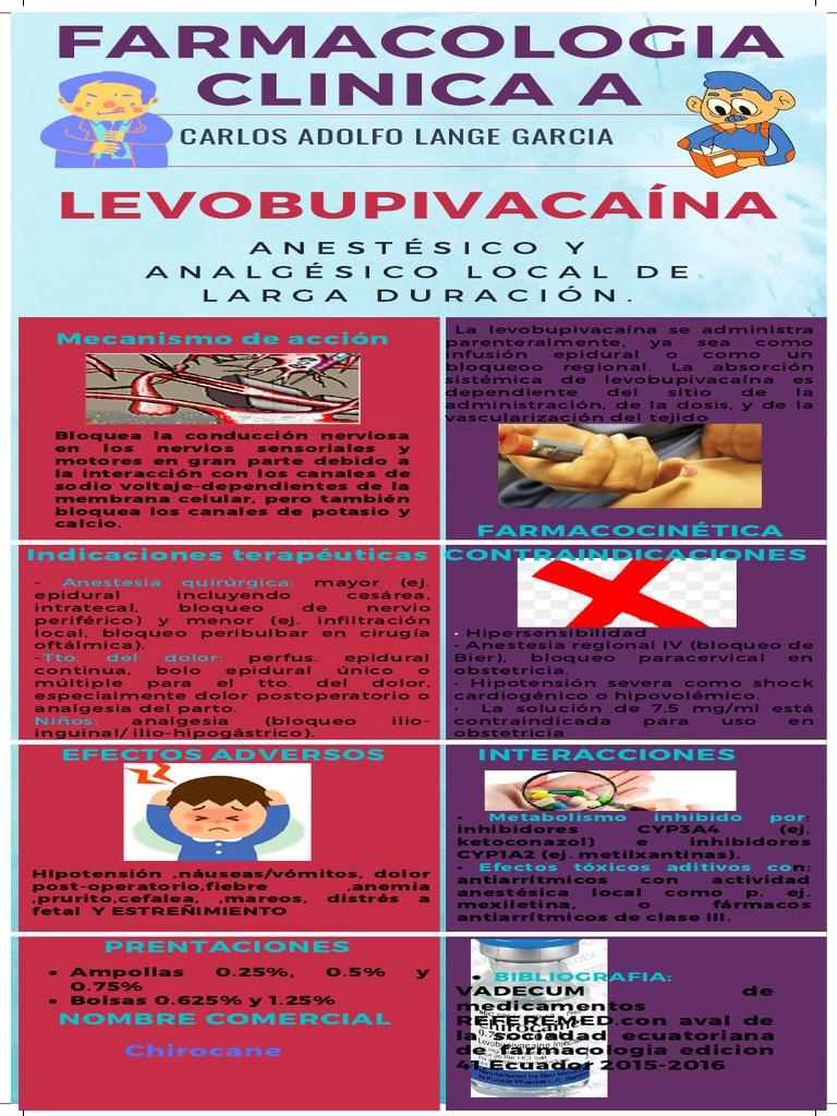 Infografia Levobupivacaina | PDF | Tratamientos médicos | Farmacia
