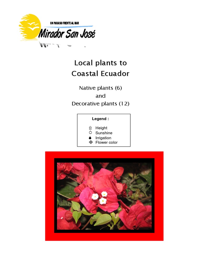 Native and Decorative Plants of Ecuador | PDF | Coconut | Arecaceae