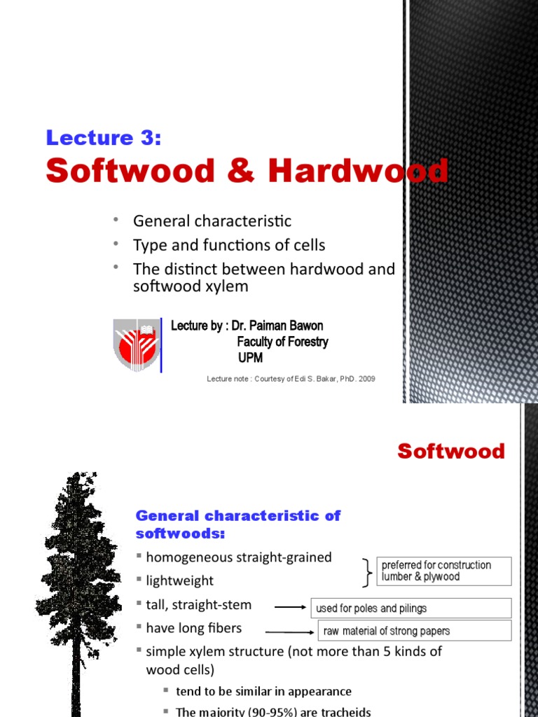 Softwood vs Hardwood: Cell Structures | PDF | Hardwood | Wood