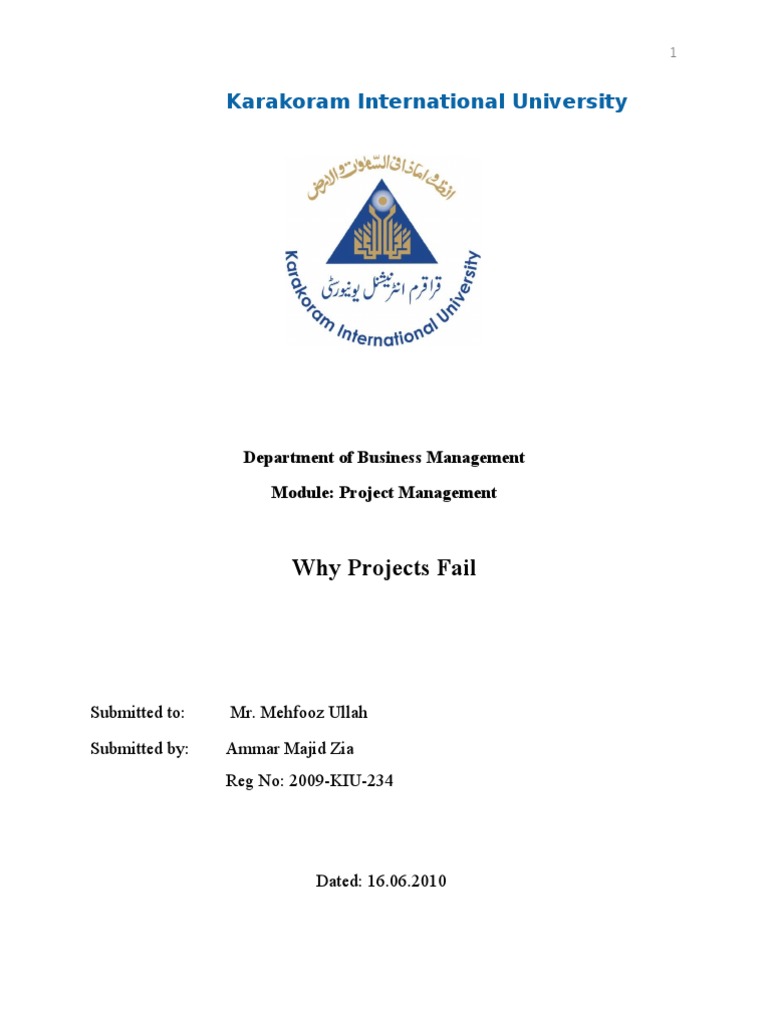 Project Failure Assignment | PDF | Primary Education | Goal