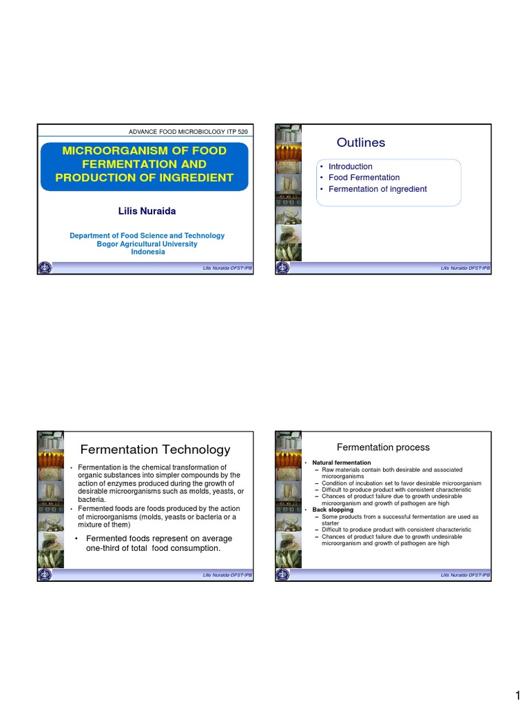 FM Topic 2 Microorganism in Food Fermentation 2019 | PDF | Fermentation ...